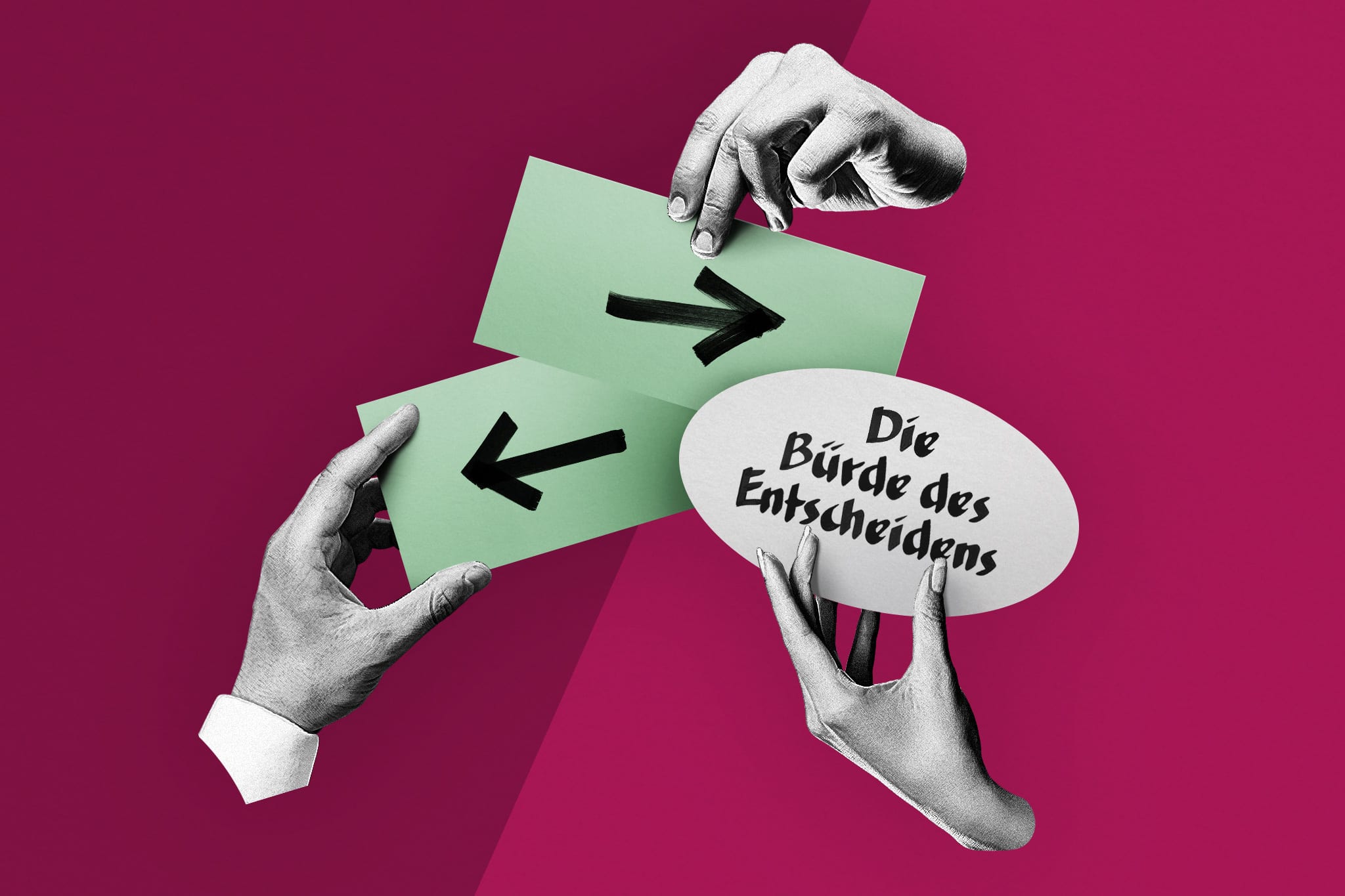 Organisation als Vehikel - Versus Magazin